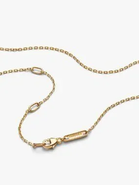 Pandora | Jewelry | Pandora Talisman Cable Chain Necklace 4k Gold ...